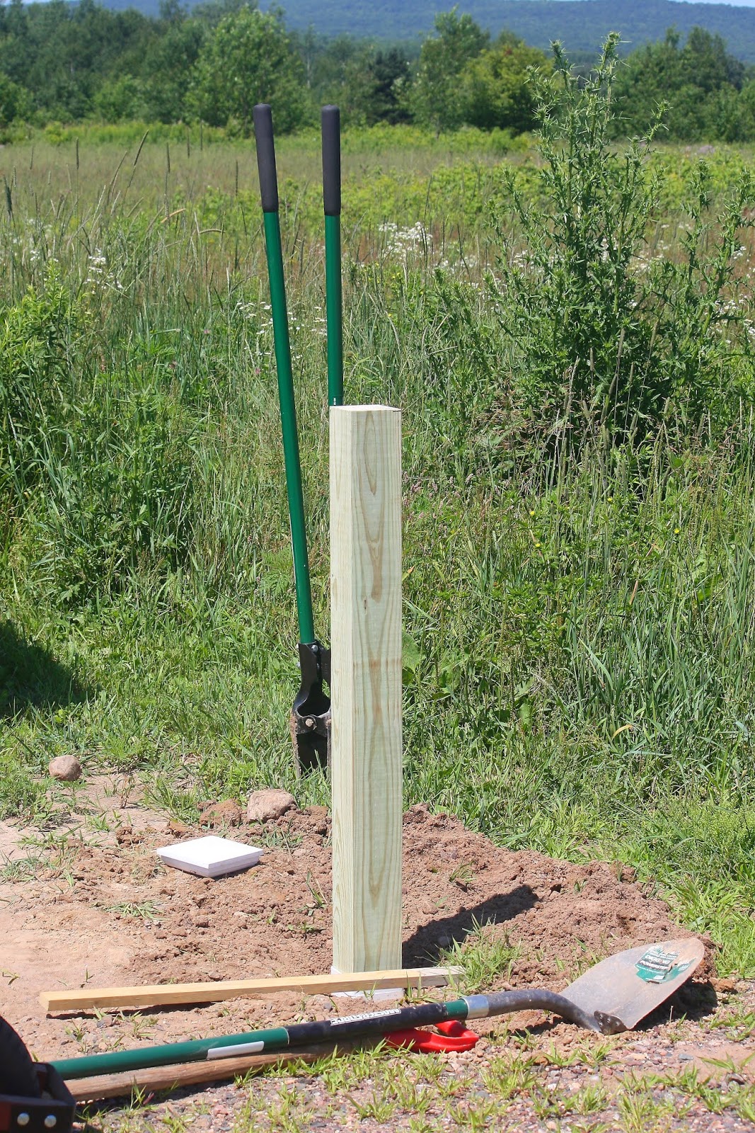 Susan Mayer's Haven: Garden Post