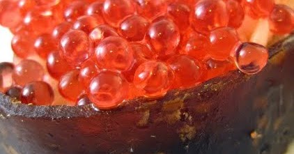 April 1st post #2: Frushi