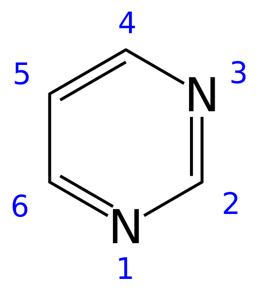 Molecular Biology: Nucleotides
