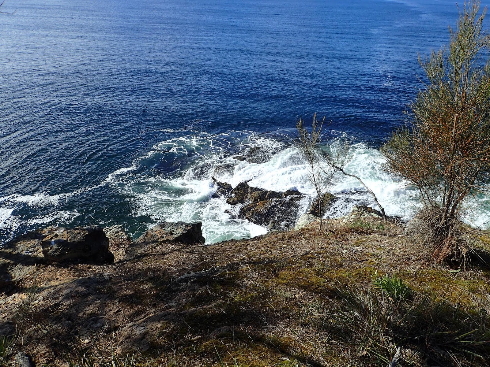 Fossil Cove | Hiking South East Tasmania