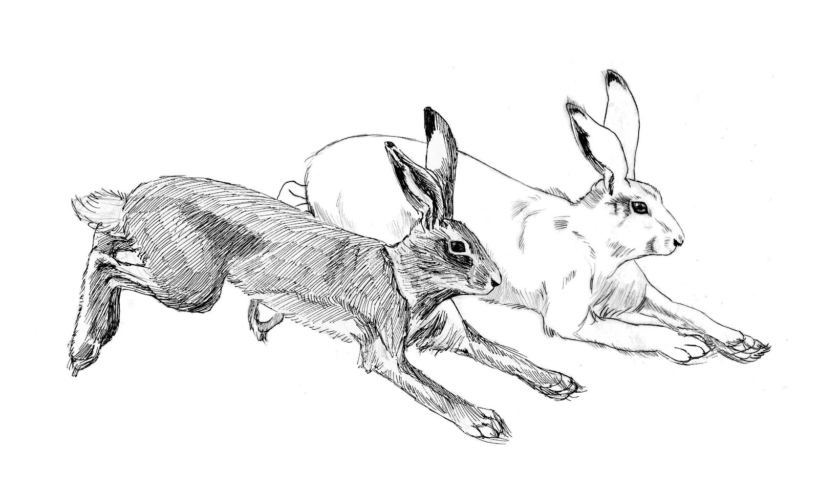 Melinda Josie: June 4th 2012