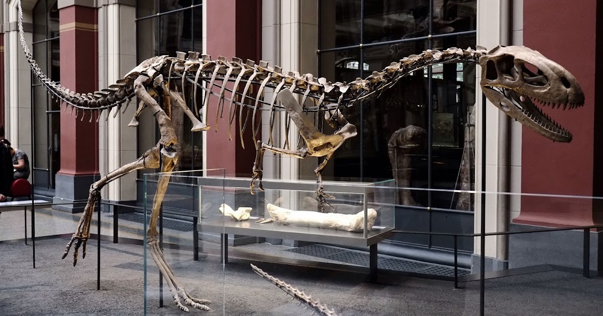 La Tierra De Los Dinosaurios: ELEPHROSAURUS