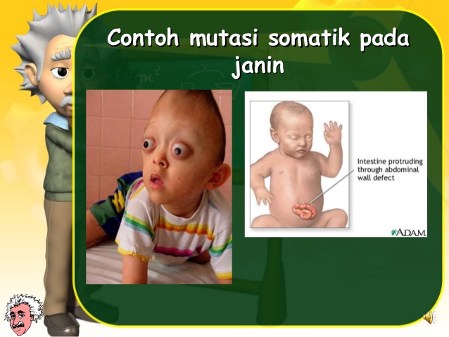 MUTASI PADA MAHLUK HIDUP: contoh-contoh dari muitasi