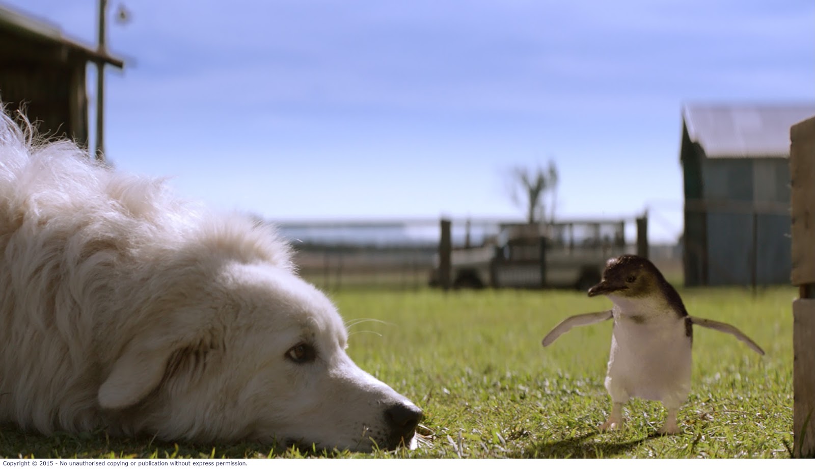 The LennoX Files: FILM REVIEW: ODDBALL