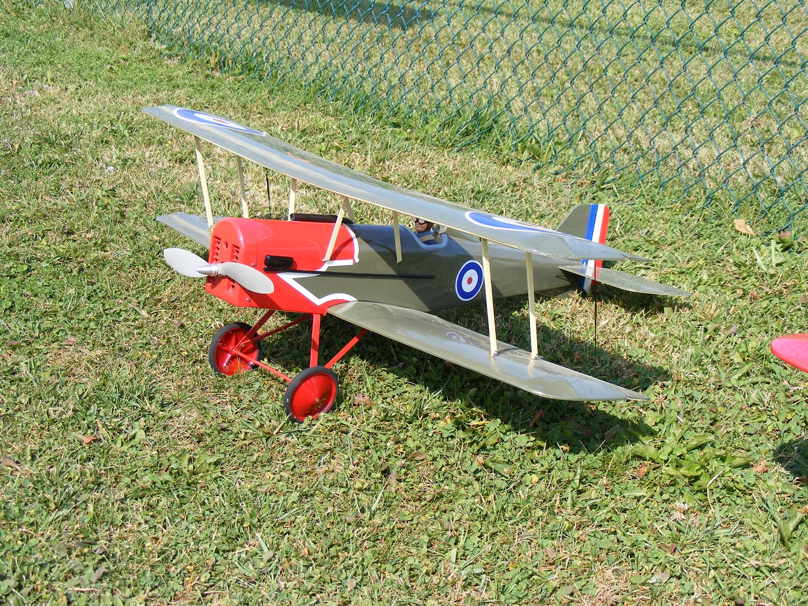 RC Flying Models: Small Stuff Electric and CO2 Powered