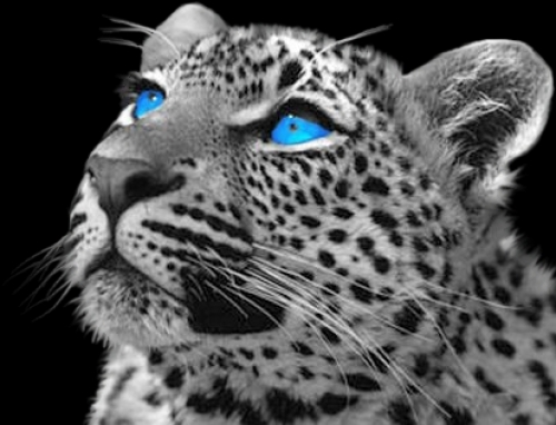 Jermaine's Graphics Blog