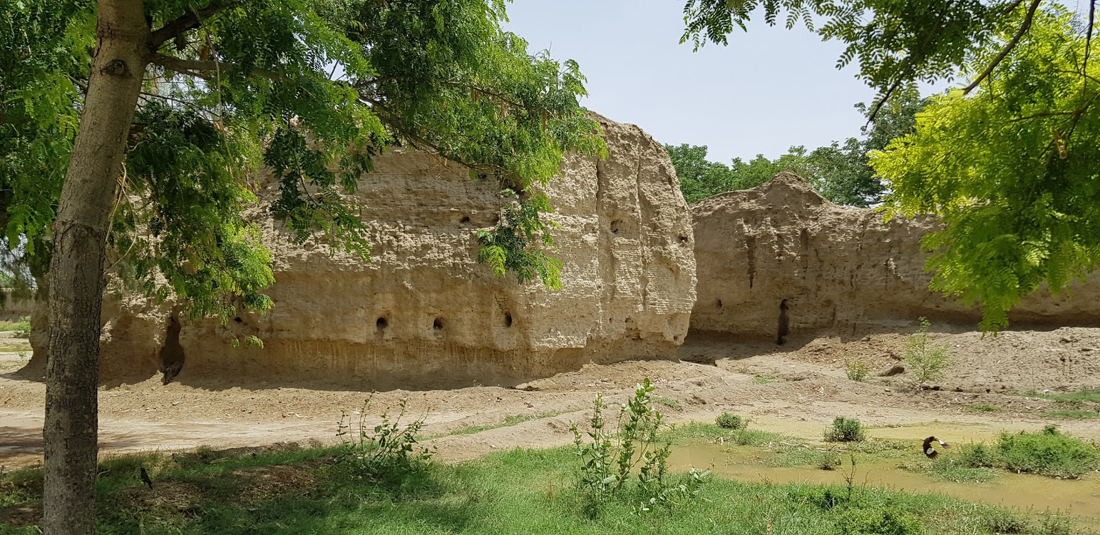 Pakistan Geotagging: 098 - Nawab Sar Buland Khan And His Fort At Mankera