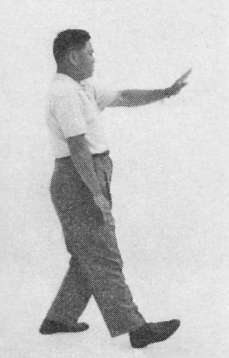 Tai Chi Chuan (Square Form) 24. Step Back And Repulse Monkey