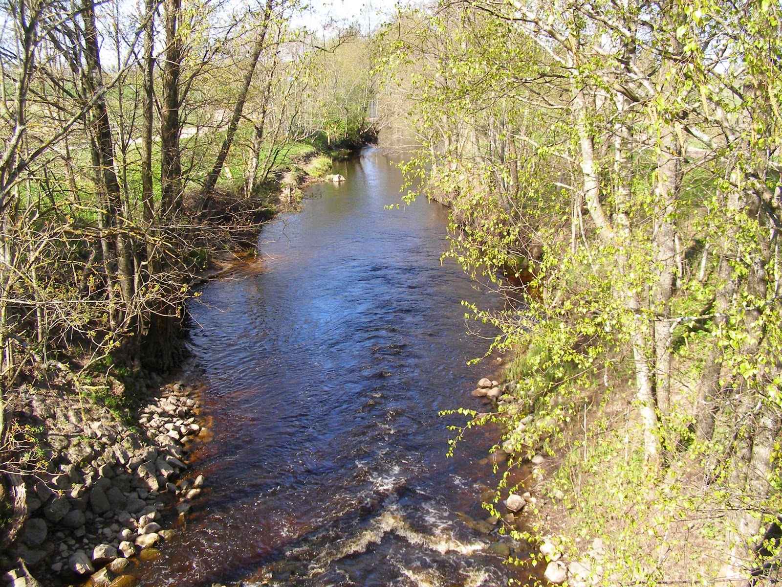 ARE LOODUSRING: TERE KEVAD