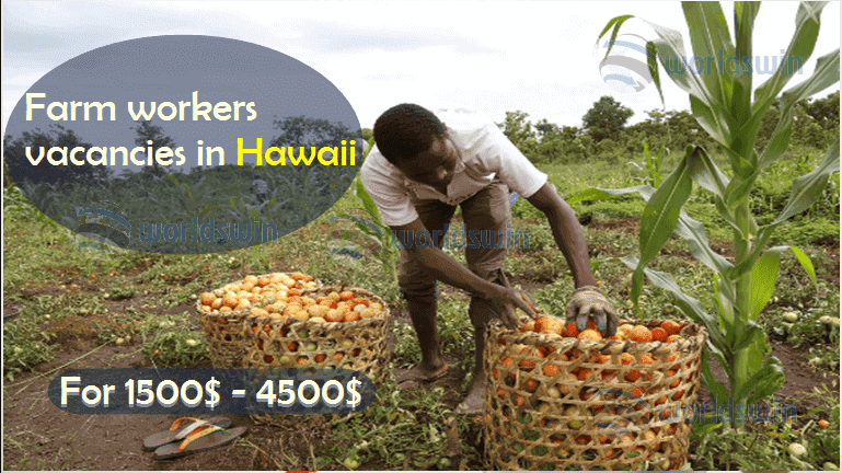Farm workers vacancies in Hawaii