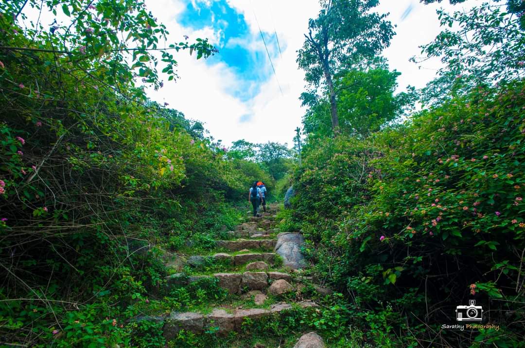 A Green Trek to Swamimalai Hills and Jalagamparai waterfalls
