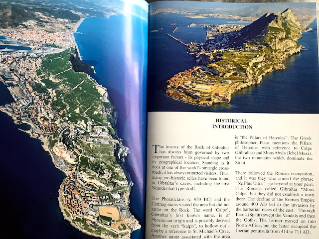 Feeling Fictional: Review: Guided Tour of Gibraltar - T.J. Finlayson