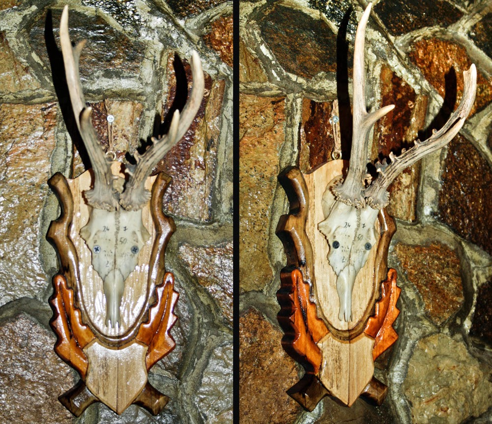 panoplii de vanatoare: panoplii caprior