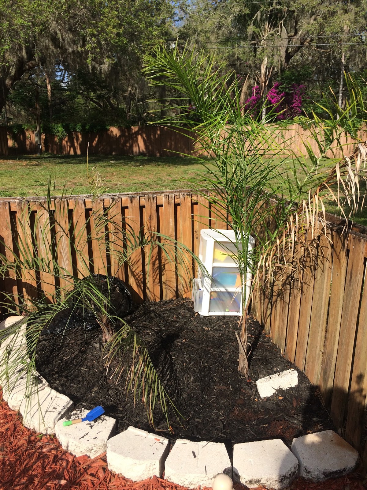 Construction Truck Rock Garden: A Sandbox Alternative - Take It From Nicole