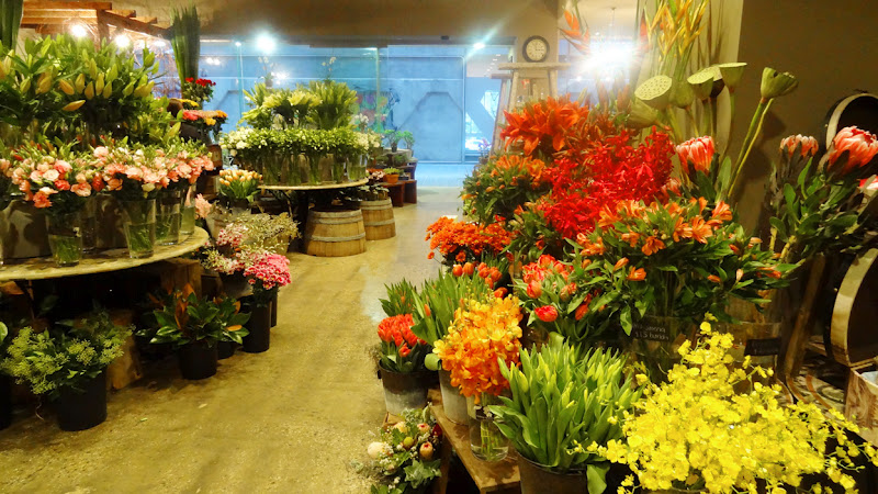 MAP: FLOWER TEMPLE, CITY