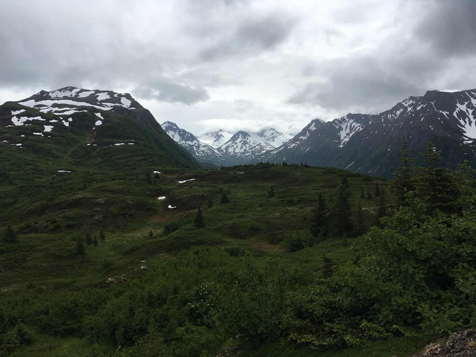 Life in Alaska — A View From Homer: Alpine Ridge Trail