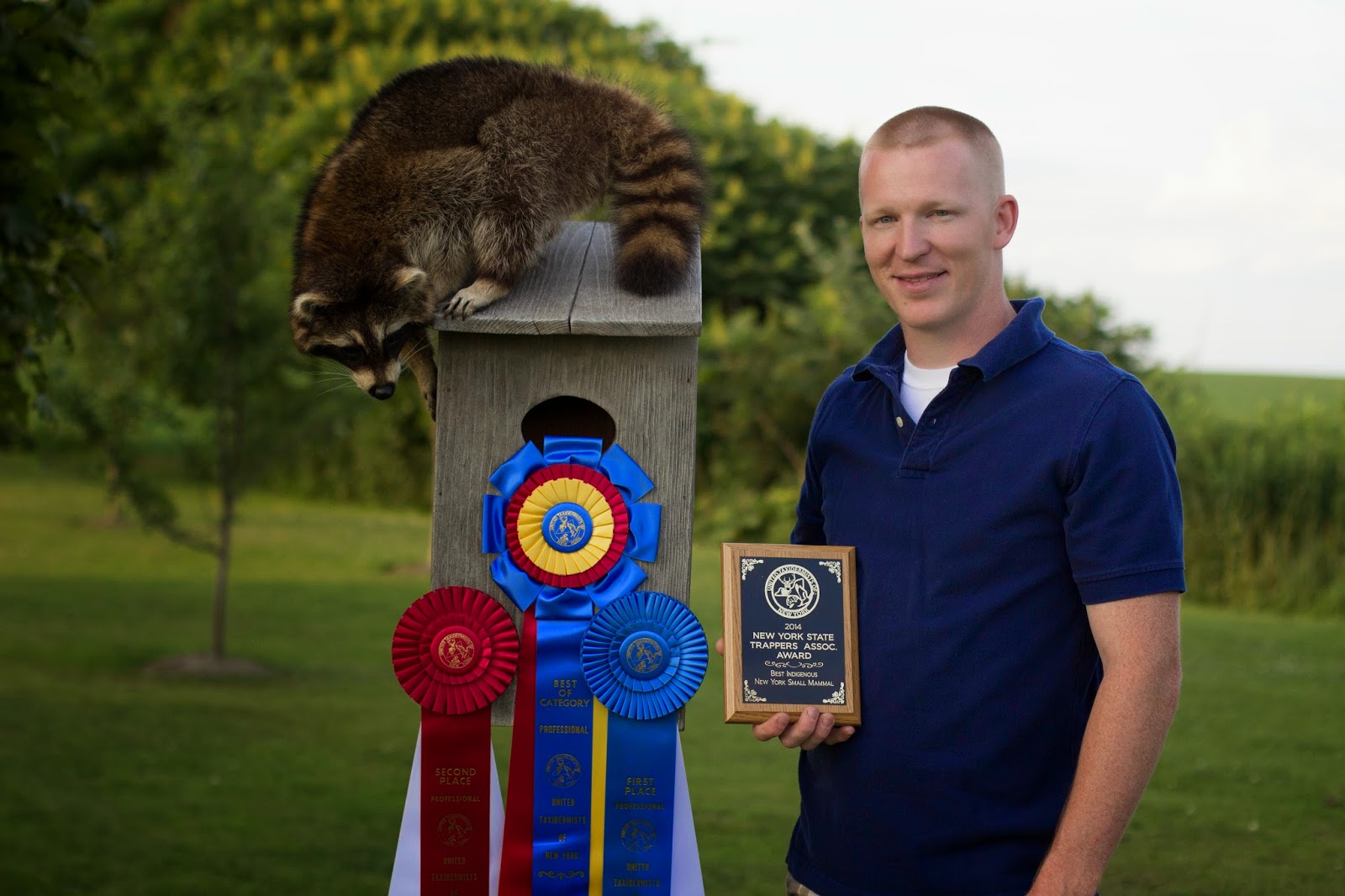 Saville Taxidermy: . Gallery