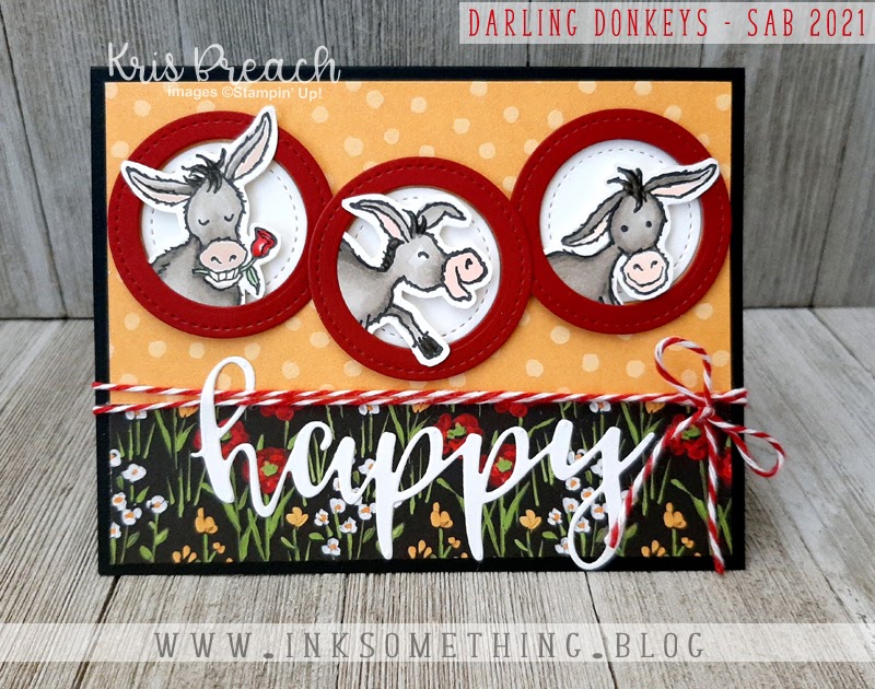 Darling Donkeys Happy Trio