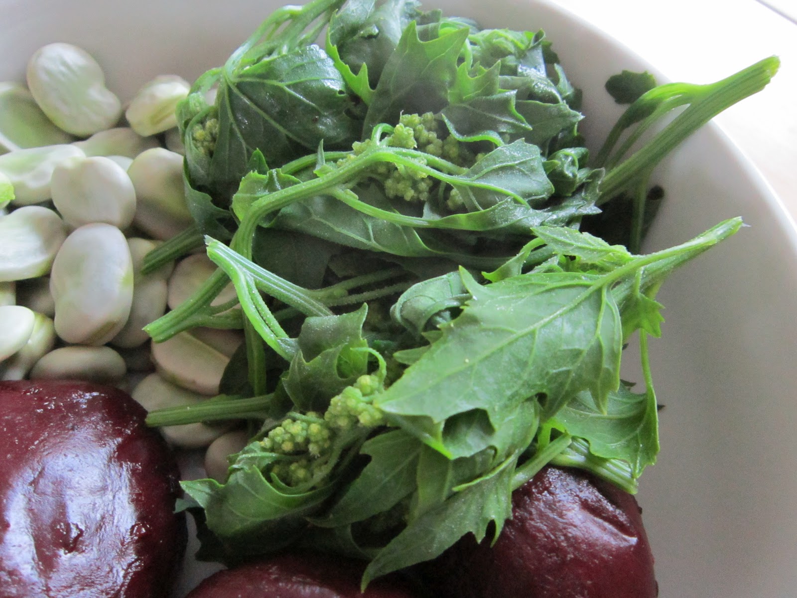 Seeds, roots, leaves and fruits...: Aztec Broccoli