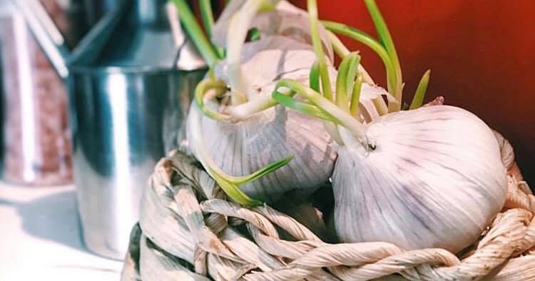 10 FACTS YOU NEED TO KNOW ABOUT GARLIC