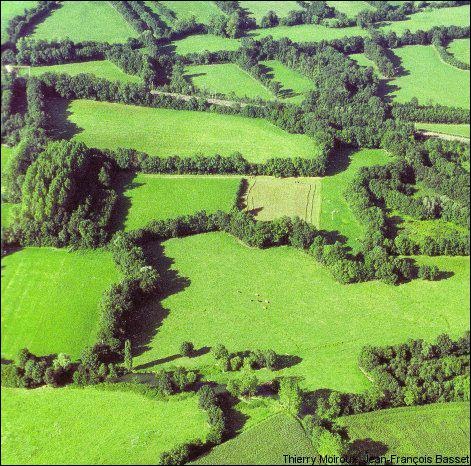 French Vocabulary Illustrated: lopin