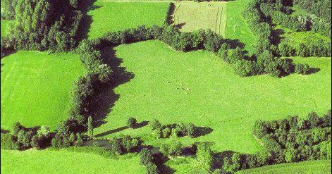 French Vocabulary Illustrated: lopin