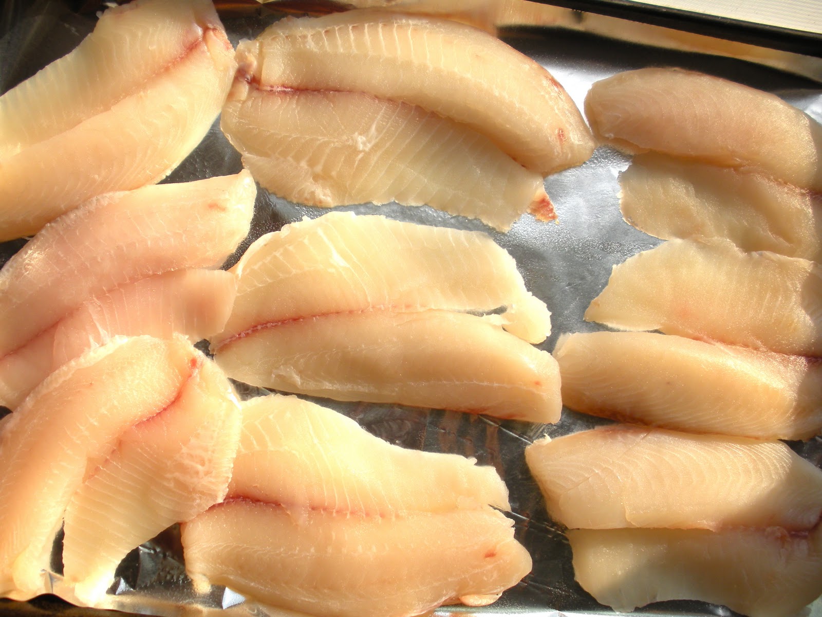 The Wright Place: Easy Fish for EVERY Family