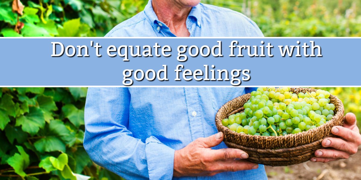 Bible Love Notes: Teachings that Bear Good Fruit