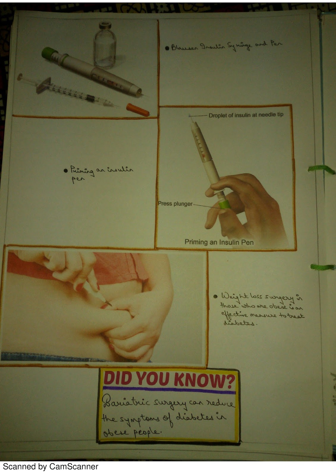 Class 12 SCIENCE Practical Readings and Projects: ISC Biology Project ...