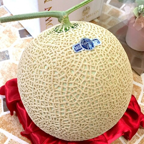 Crown Melon Dari Shizuoka, Jepang; Perpaduan Karya Seni Dan Teknologi ...