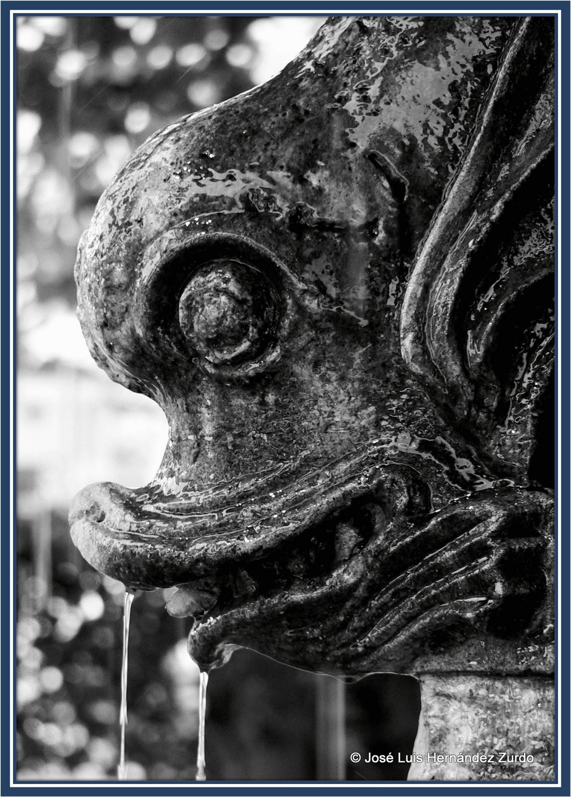 España vista desde mi cámara...: BLANCO Y NEGRO (MÉTODO ROB CARR ...