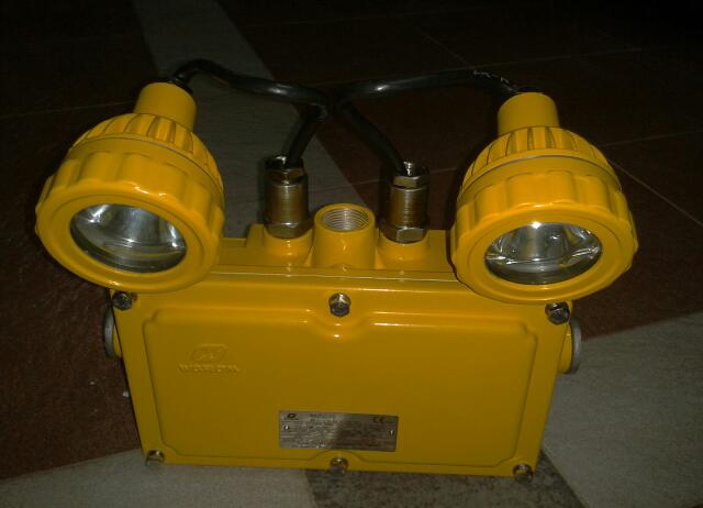 Warom Explosion Proof Electrical: Jual Lampu Emergency Mata Kucing ...