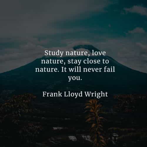 85 Nature quotes that'll inspire to love and value its beauty