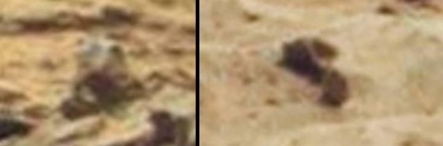 There is life on Mars but it has evolved in a different way – weird ...