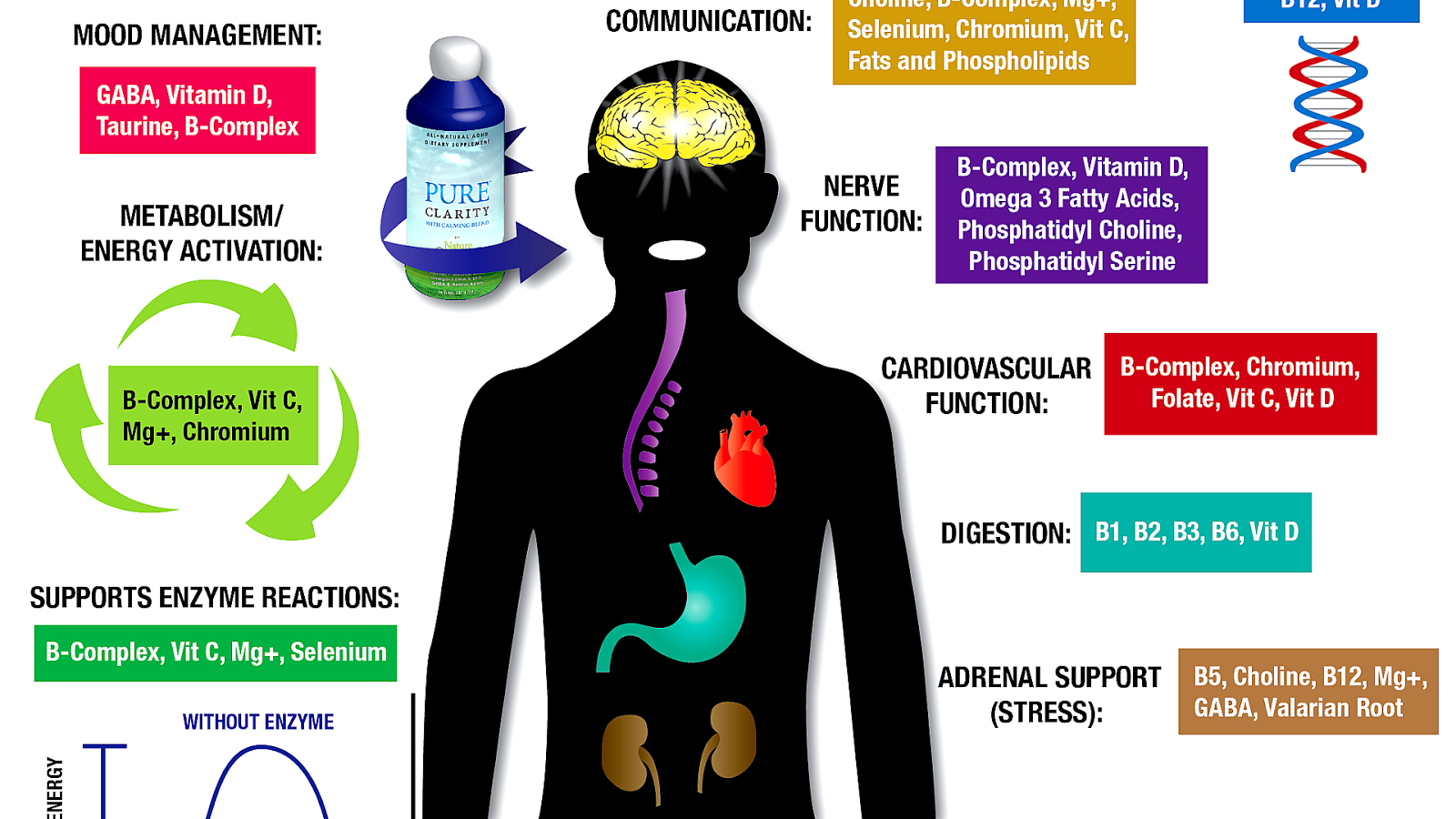 Adhd Effects On The Brain Effect Choices adhd-effects-on-the-brain-effect-choices