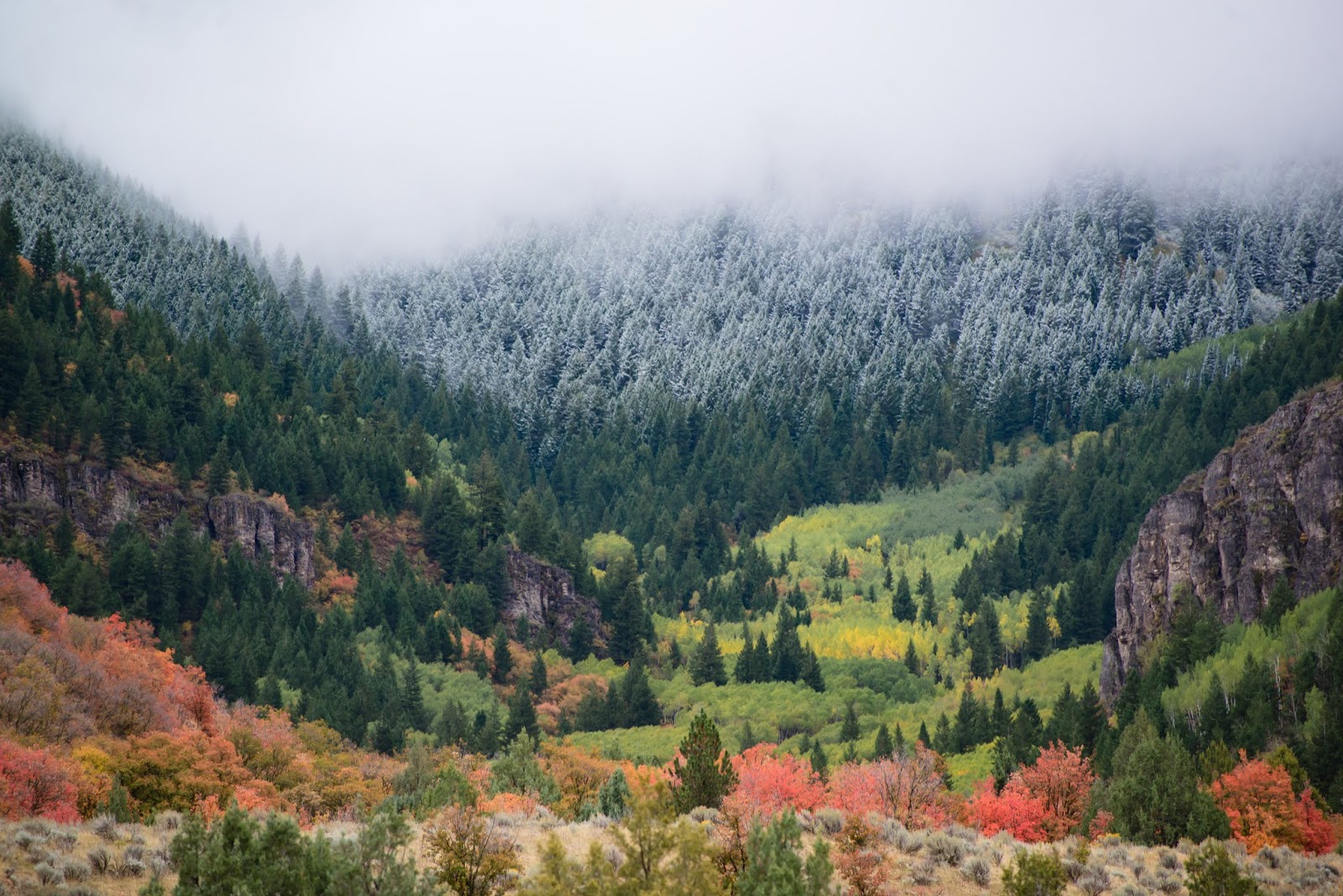 Fall Colors 2019 - Logan Utah