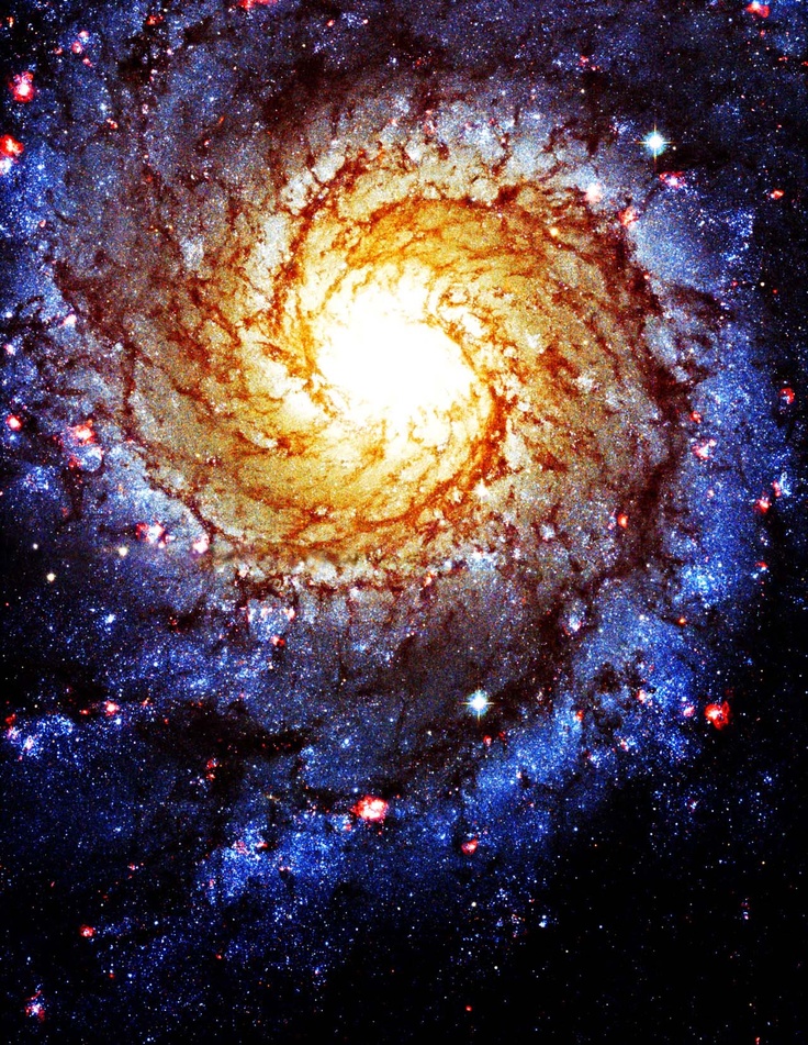 Infinite Space: Space Pictures: Spiral Galaxy