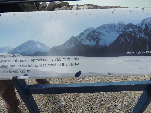 THE ROAD TAKEN : Glaciers Going Going Gone: Blue Lakes and Tasman Lake