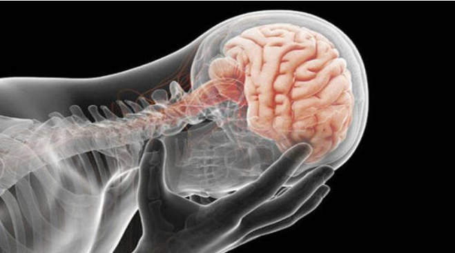 careful! These things make the brain very weak