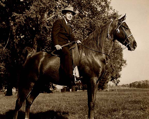 Walking Horse Trivia