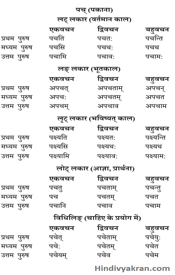 पच् धातु के रूप संस्कृत में – Pach Dhatu Roop In Sanskrit | HindiVyakran