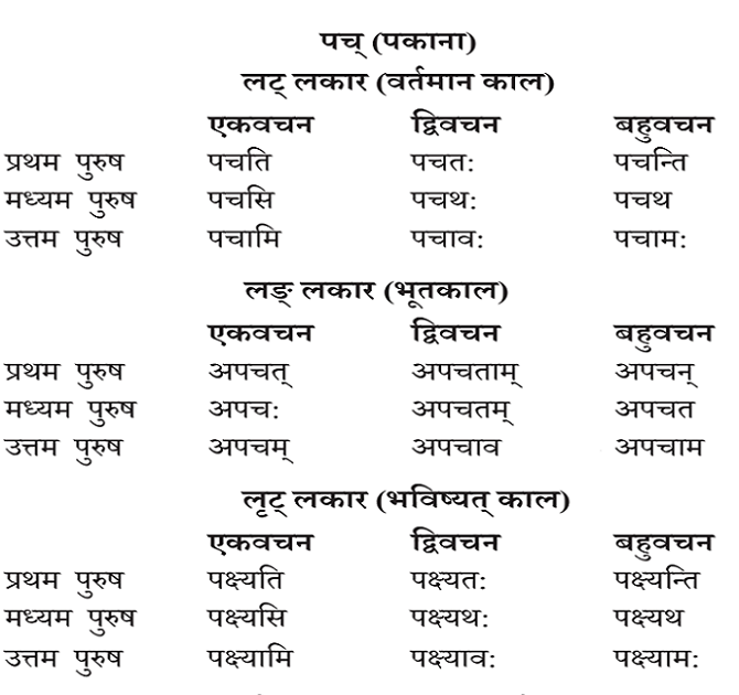 पच् धातु के रूप संस्कृत में – Pach Dhatu Roop In Sanskrit | HindiVyakran