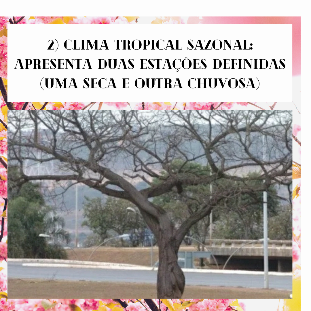 Você conhece o Cerrado Brasileiro?