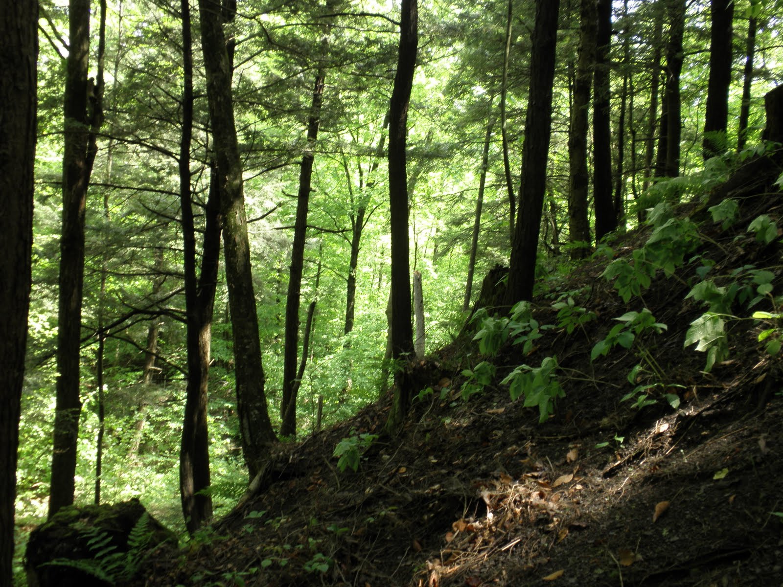 Upstate Earth: Finding the ancient Mohawk village of Otstungo