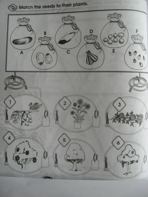 SCIENCE YEAR 2: Worksheets