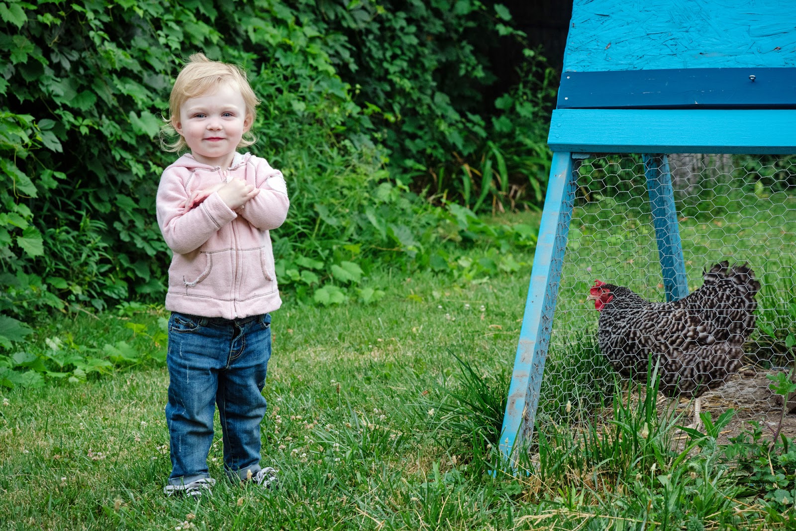 Andrew Potter Photo Blog: Kids Visit Chickens