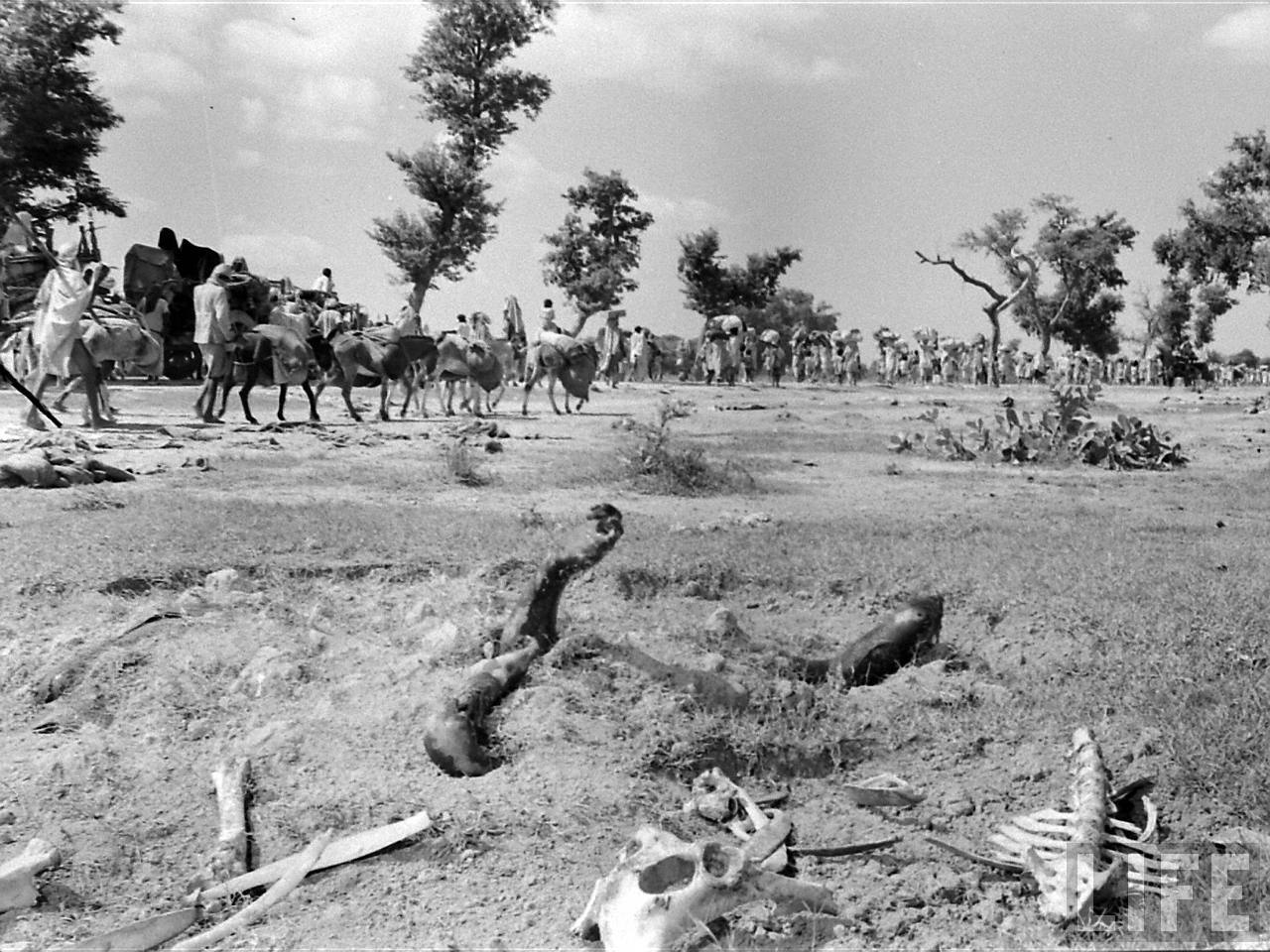 Partition Of India (Indian Partition) Rare Photos | Rare & Old Vintage ...