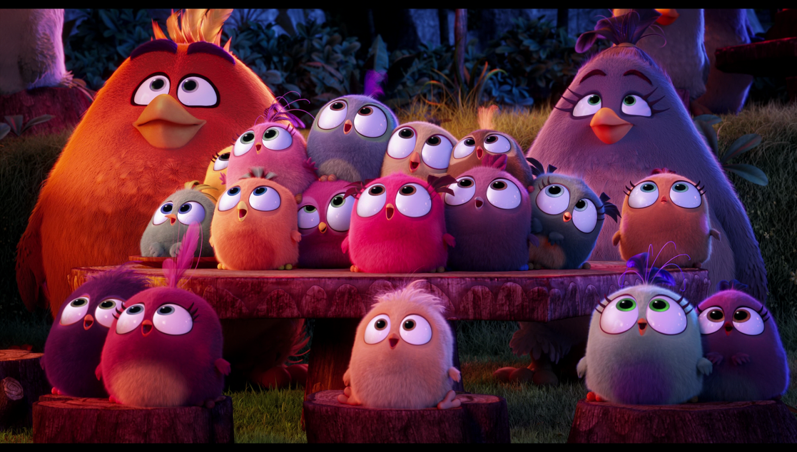 Gavin's Corner: THE ANGRY BIRDS MOVIE Blu-ray Review