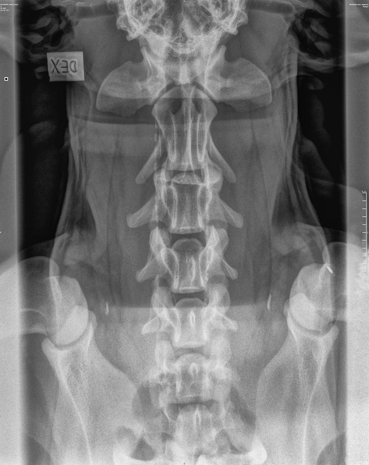 Sannin Blogi: lokakuuta 2013