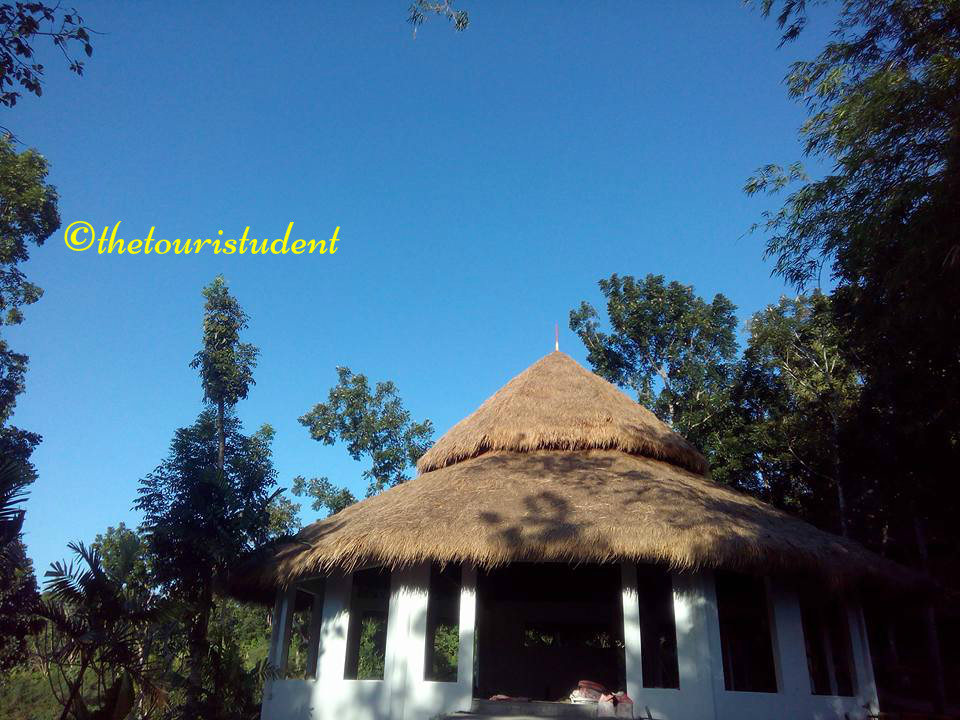 DAMIRES HILLS TIERRA VERDE